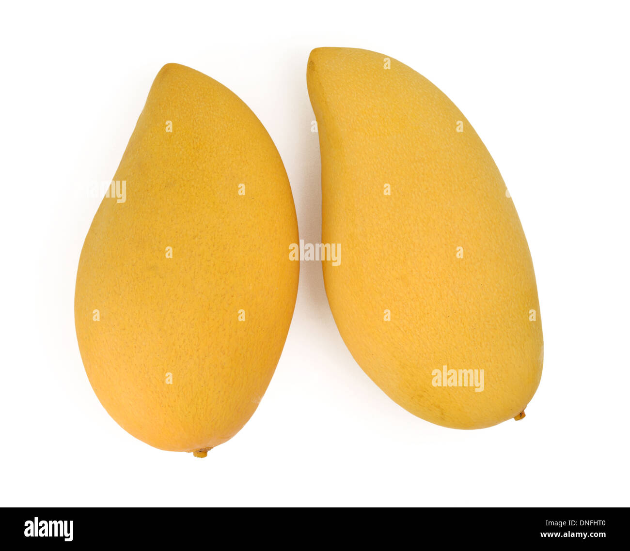 Mango isolated on white Stock Photo - Alamy