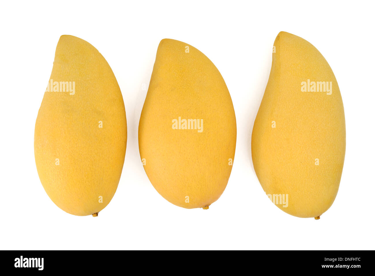 Mango isolated on white Stock Photo - Alamy