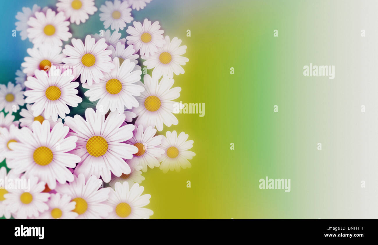 Daisies Background Abstract Illustration. Flowers Illustration Stock ...