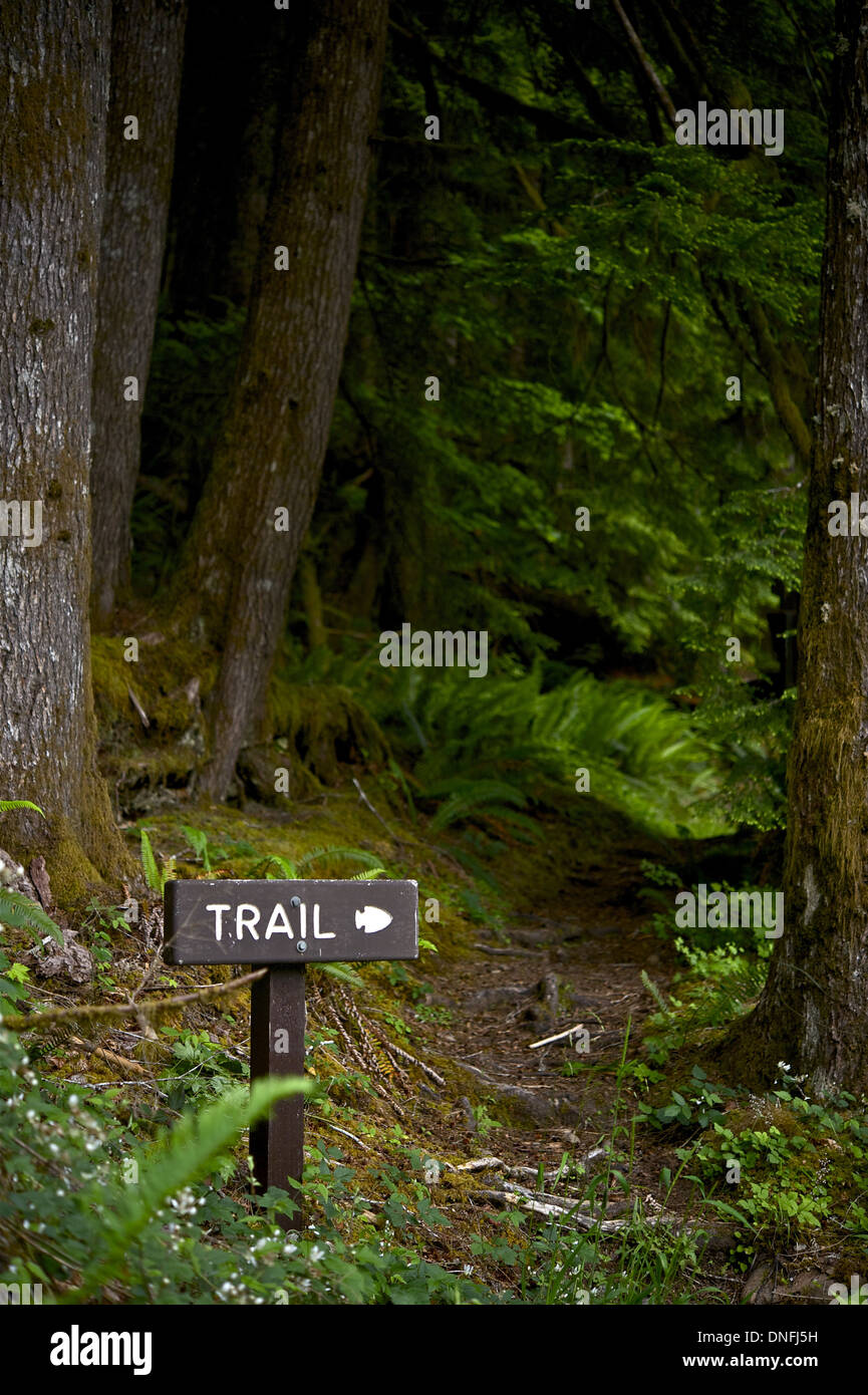 Forest Trail Wooden Arrow Sign. Hiking in the Forest Stock Photo - Alamy