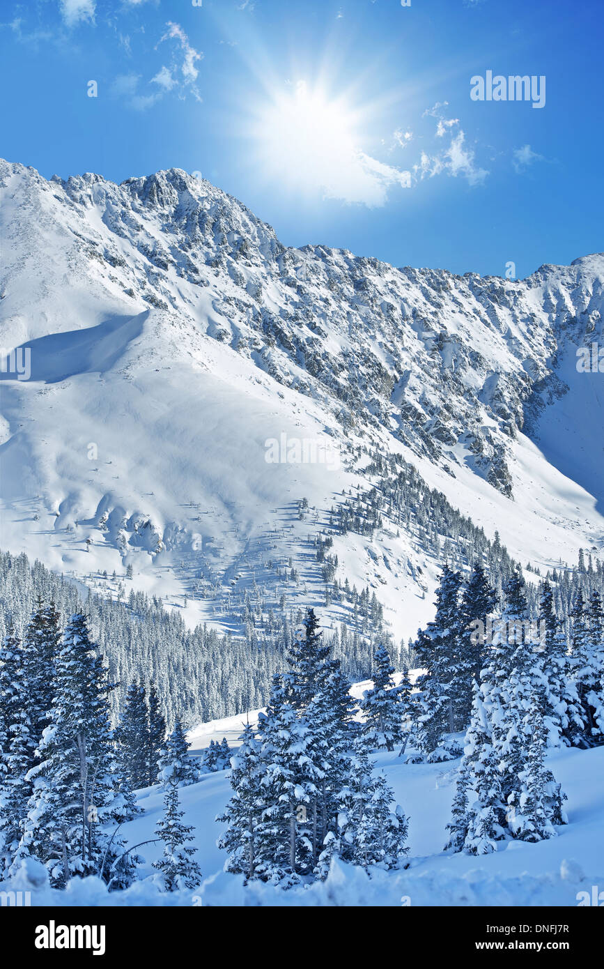 Winter Alpine Landscape. Colorado Rocky Mountains Under the Snow ...