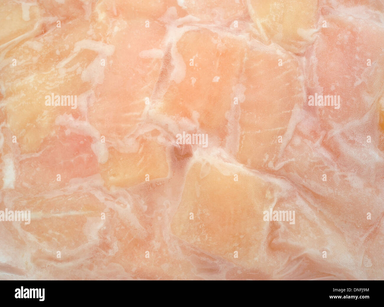 Dory fish hi-res stock photography and images - Alamy