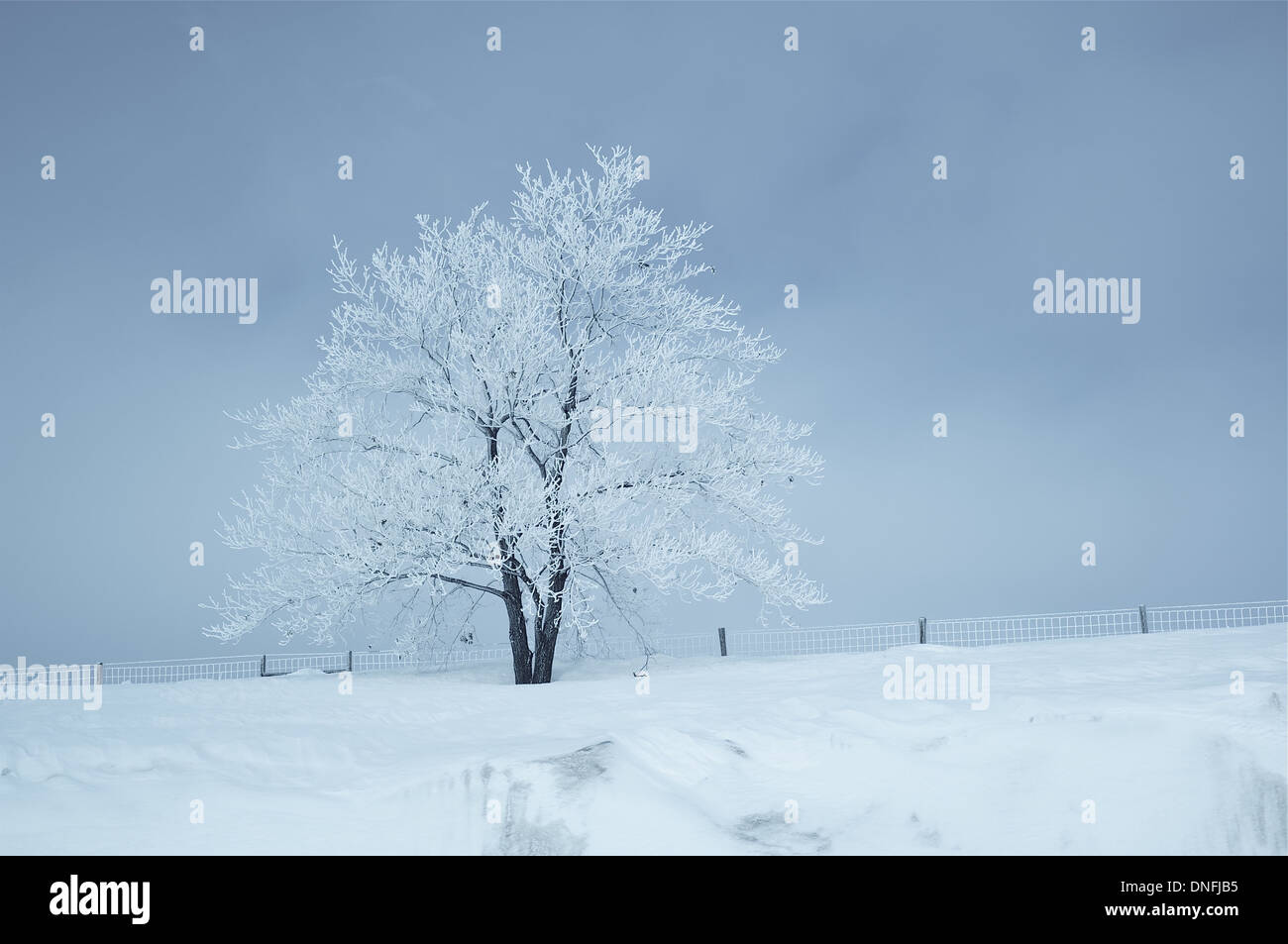 Nebraska landscape snow hi-res stock photography and images - Alamy