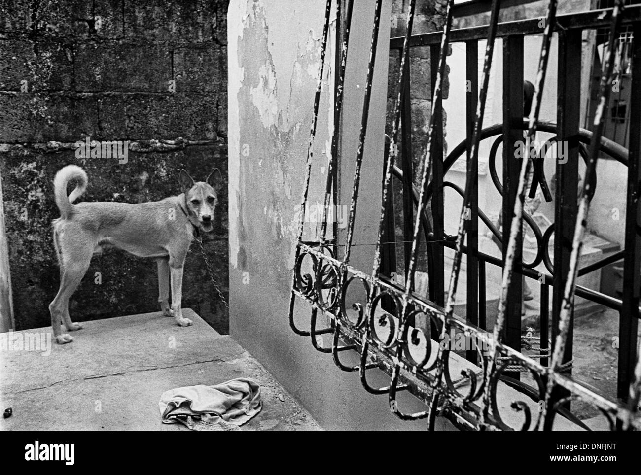 Squatters in manila philippines hi-res stock photography and images - Alamy