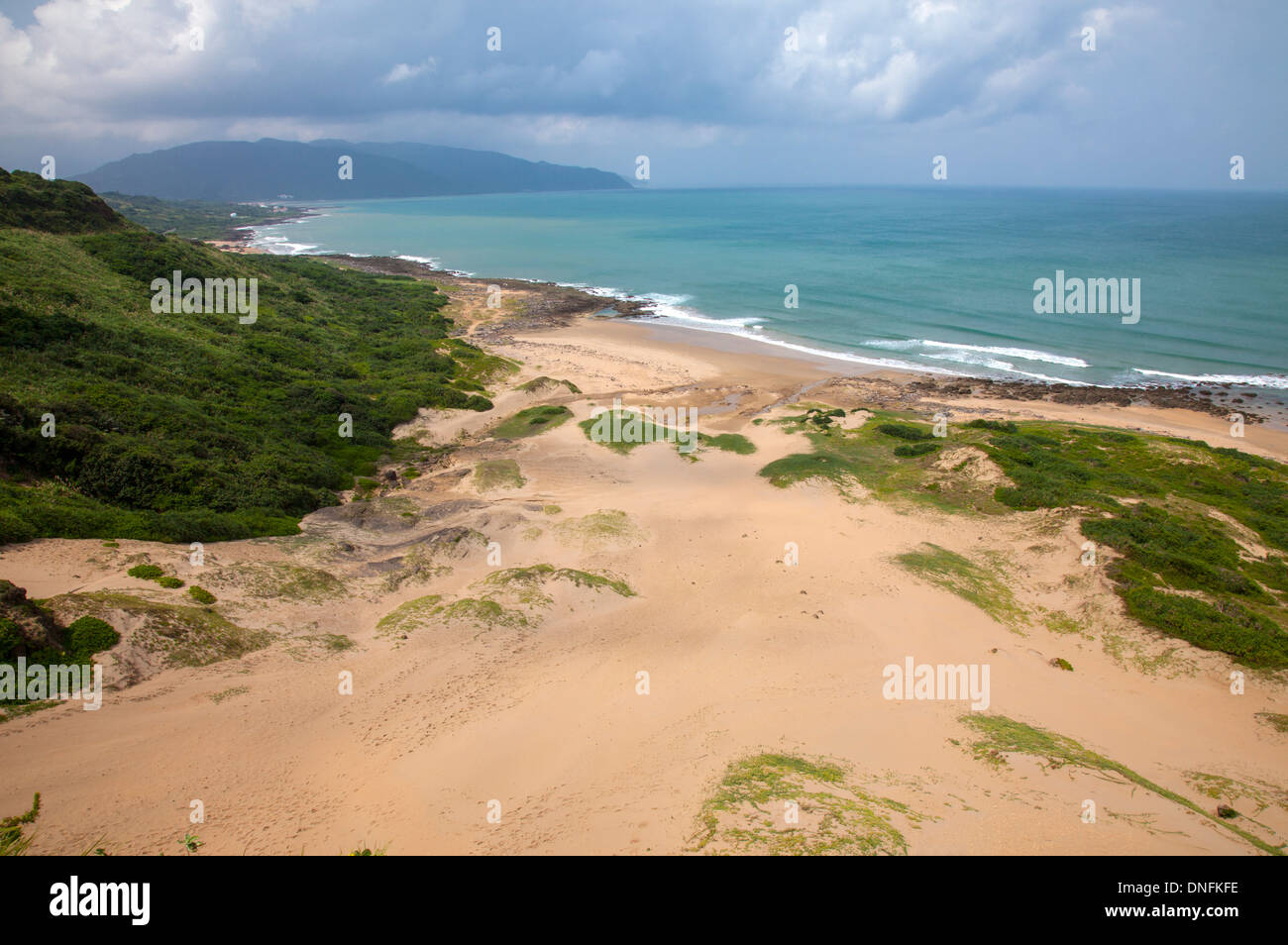 Pingtung tree hi-res stock photography and images - Alamy