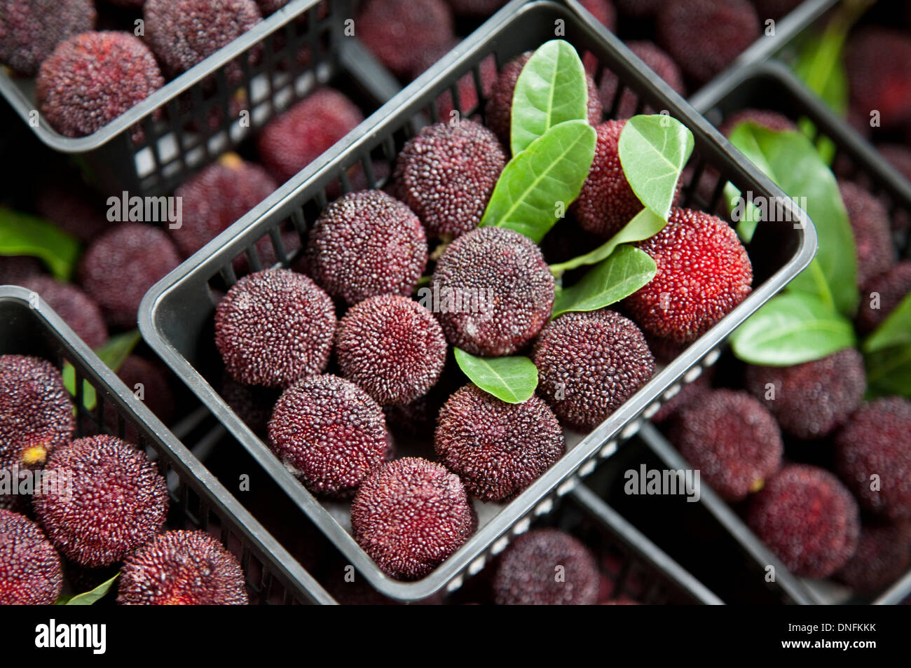 Asia, Hong Kong, Bayberry, Fruit Stock Photo - Alamy
