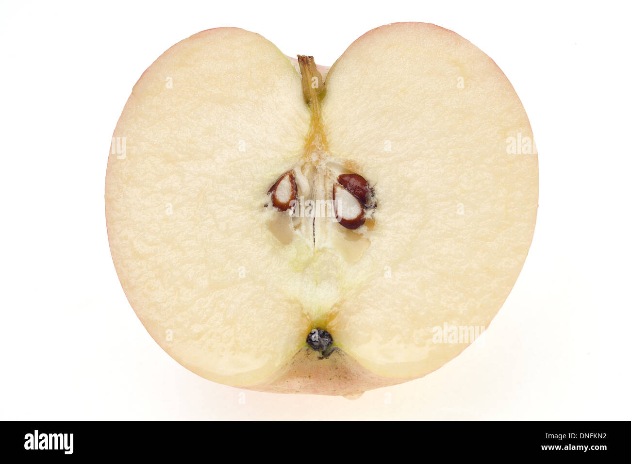 Half of apple isolated on white background Stock Photo - Alamy
