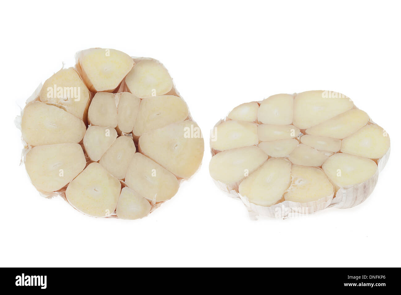 Garlic head showing cross section isolated on white background Stock ...