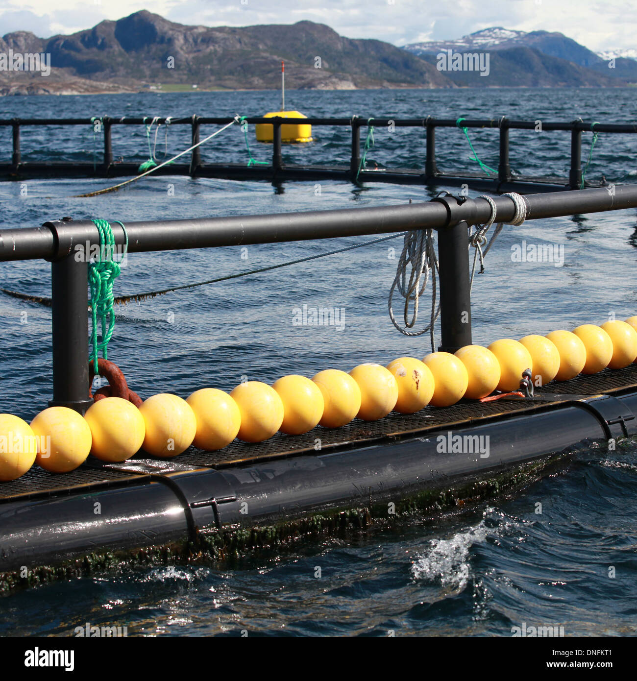 Fragment of fish farm for salmon growing in Norwegian Sea Stock Photo ...