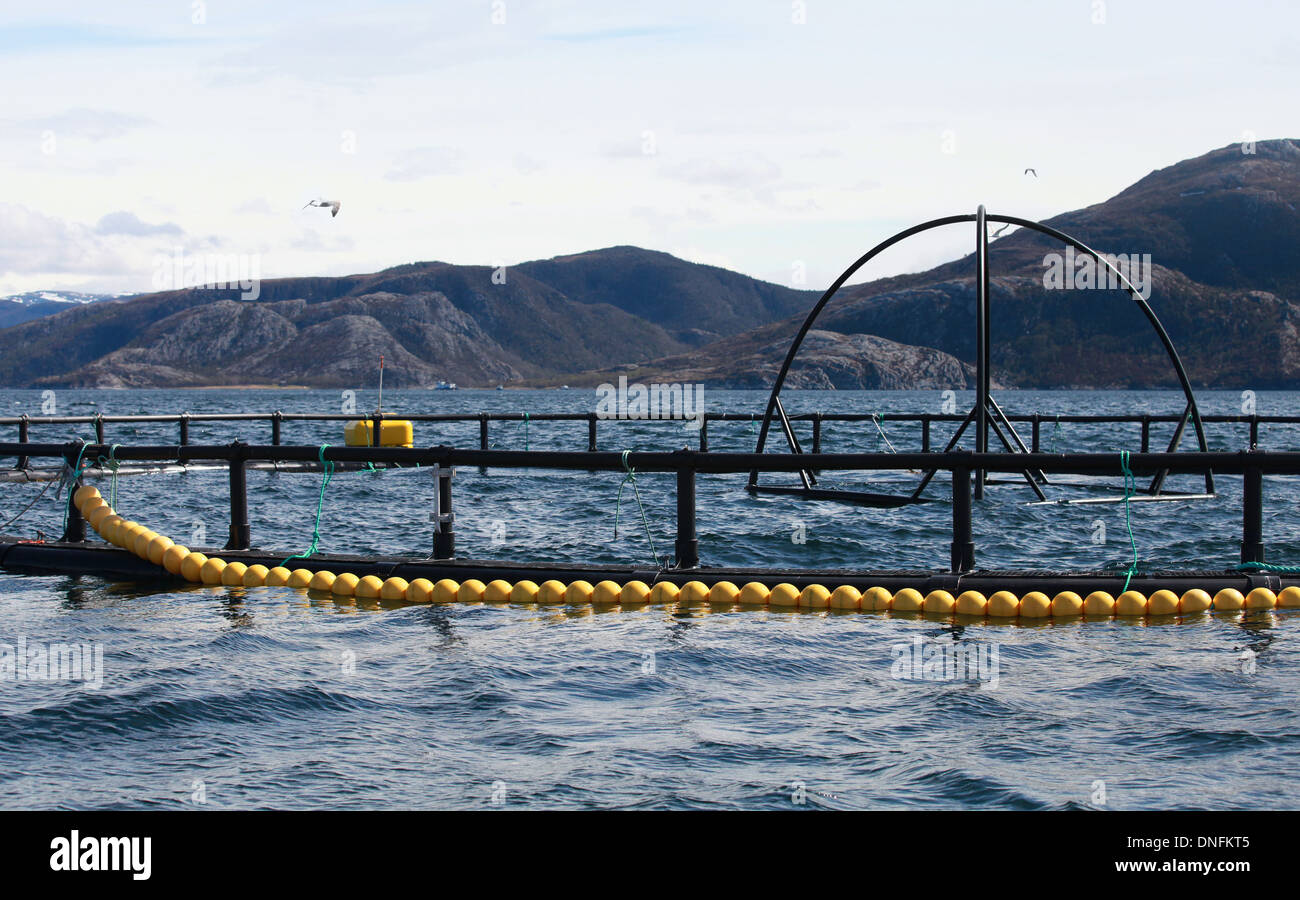 Salmon farm net hi-res stock photography and images - Alamy
