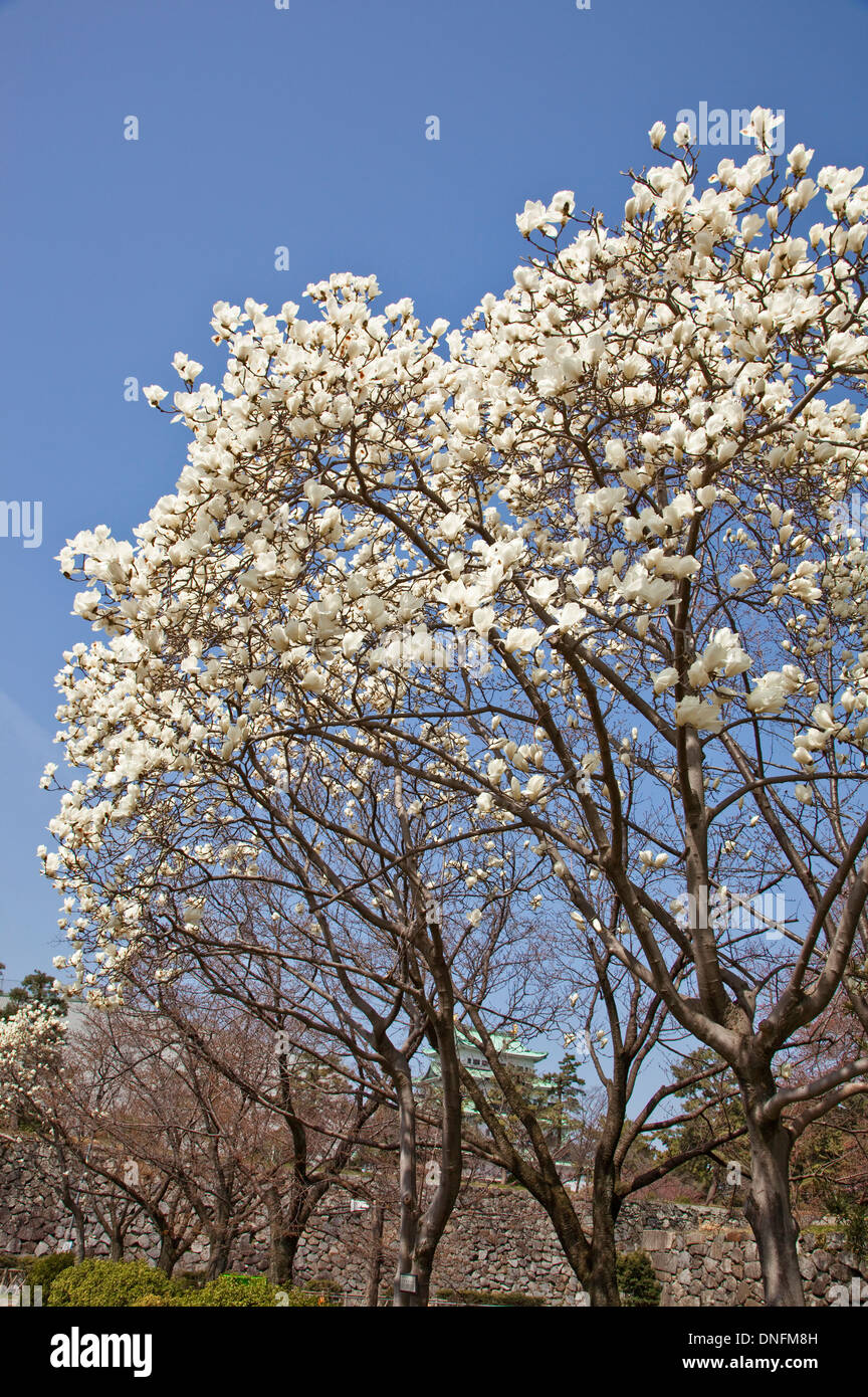 Nagoya, Aichi Prefecture, Japan, Asia Stock Photo - Alamy