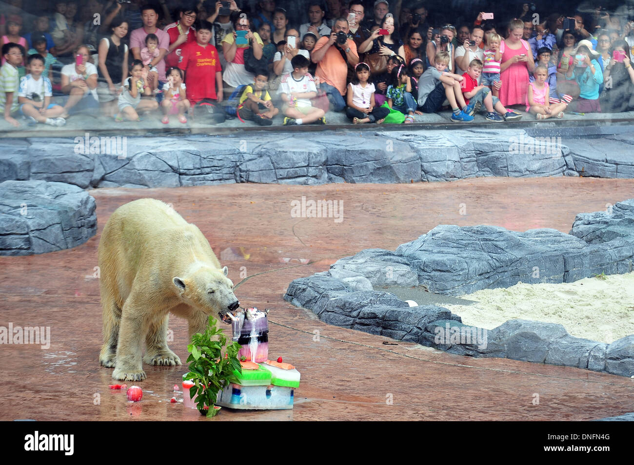 Polar bear eats ice cake hi-res stock photography and images - Alamy