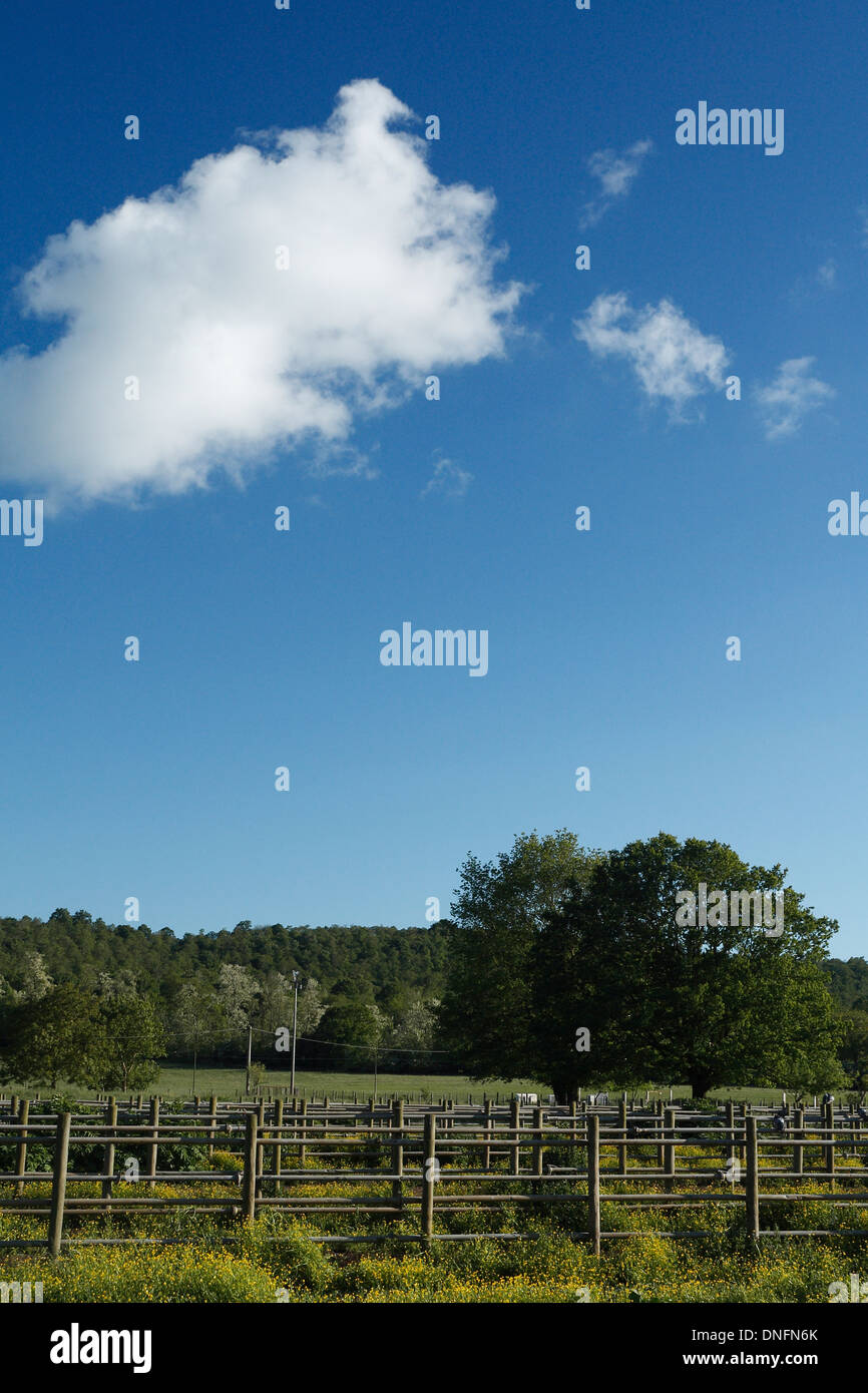 Simple landscape hi-res stock photography and images - Alamy