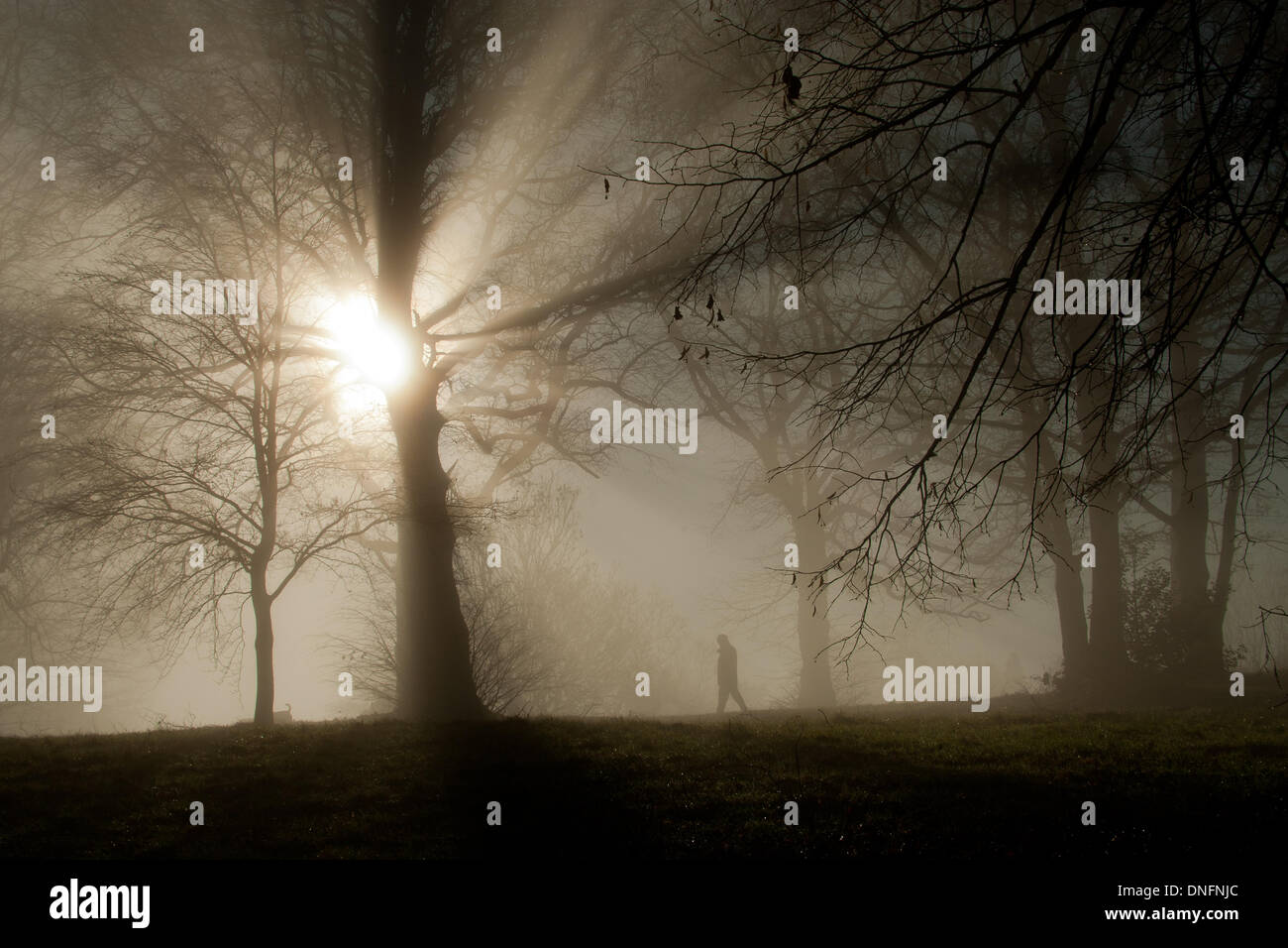 Morning sun through mist and fog Stock Photo - Alamy