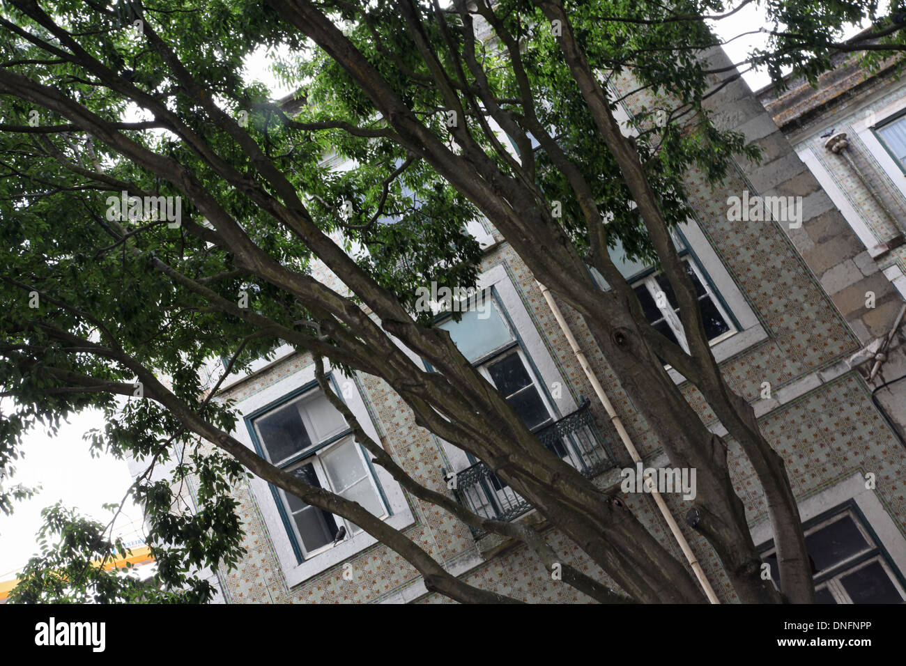 Cast iron windows hi-res stock photography and images - Alamy