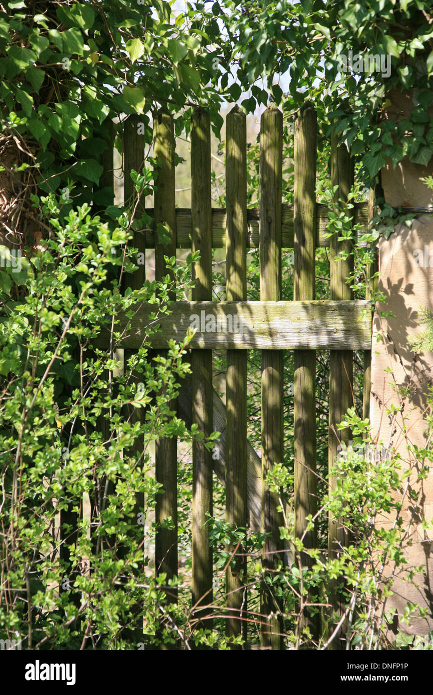 Old overgrown garden gate Stock Photo - Alamy