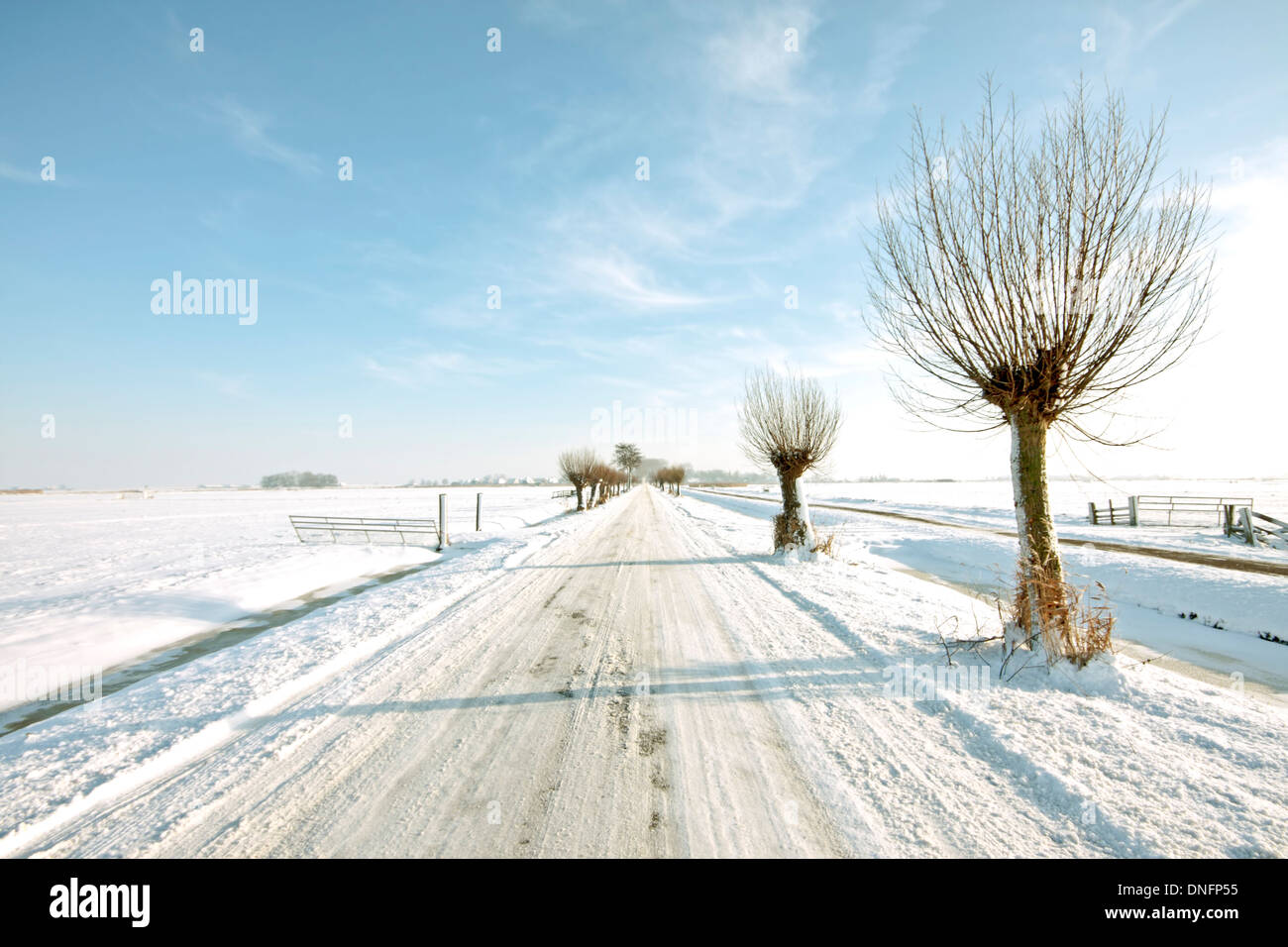Snowy country road in the Netherlands in winter Stock Photo - Alamy