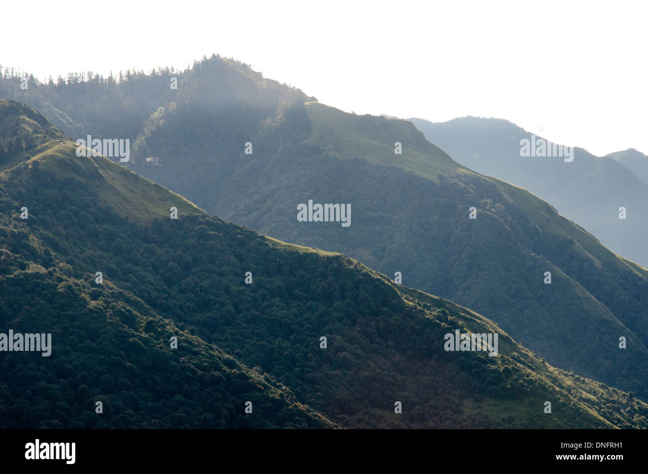 A view to grassy hillside Stock Photo - Alamy