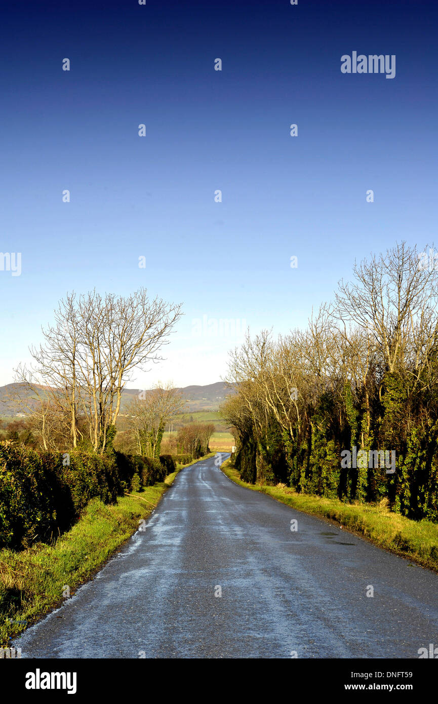 Tree lined narrow country road, Burt, County Donegal, Ireland Stock ...