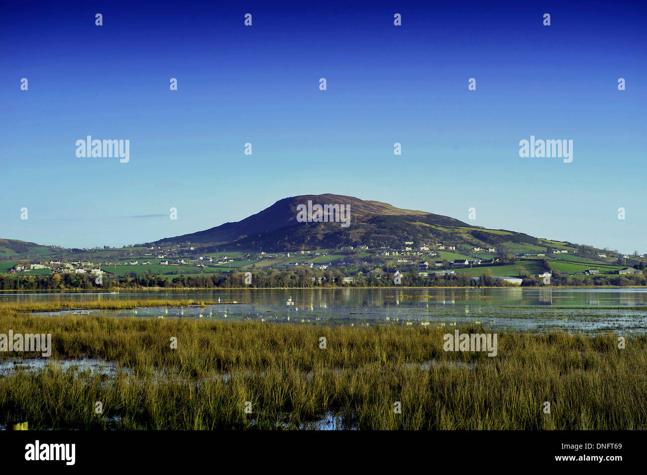 Inishowen Inch Wildfowl Reserve and Lake Inch, Burt, County Donegal ...