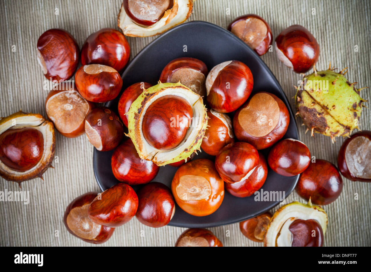 Chestnut open prickly shell hi-res stock photography and images - Alamy