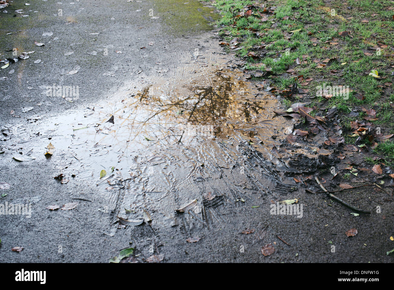 Waterlogged hi-res stock photography and images - Alamy