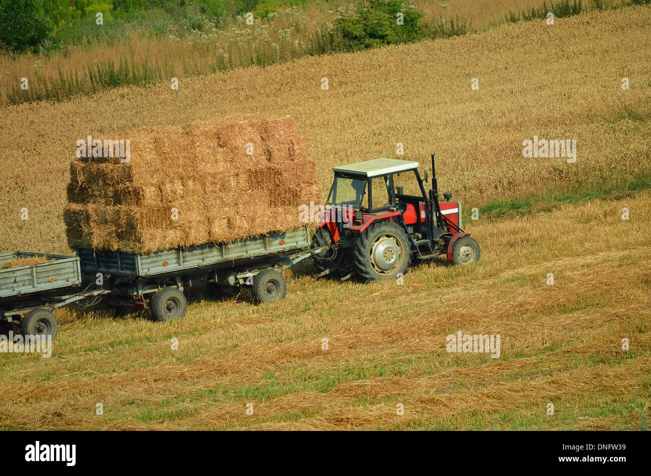 Farm tractor collecting straw in hi-res stock photography and images ...