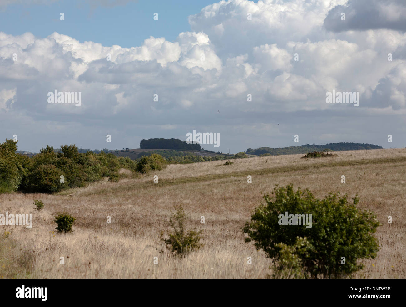 Martin down national nature reserve hi-res stock photography and images ...