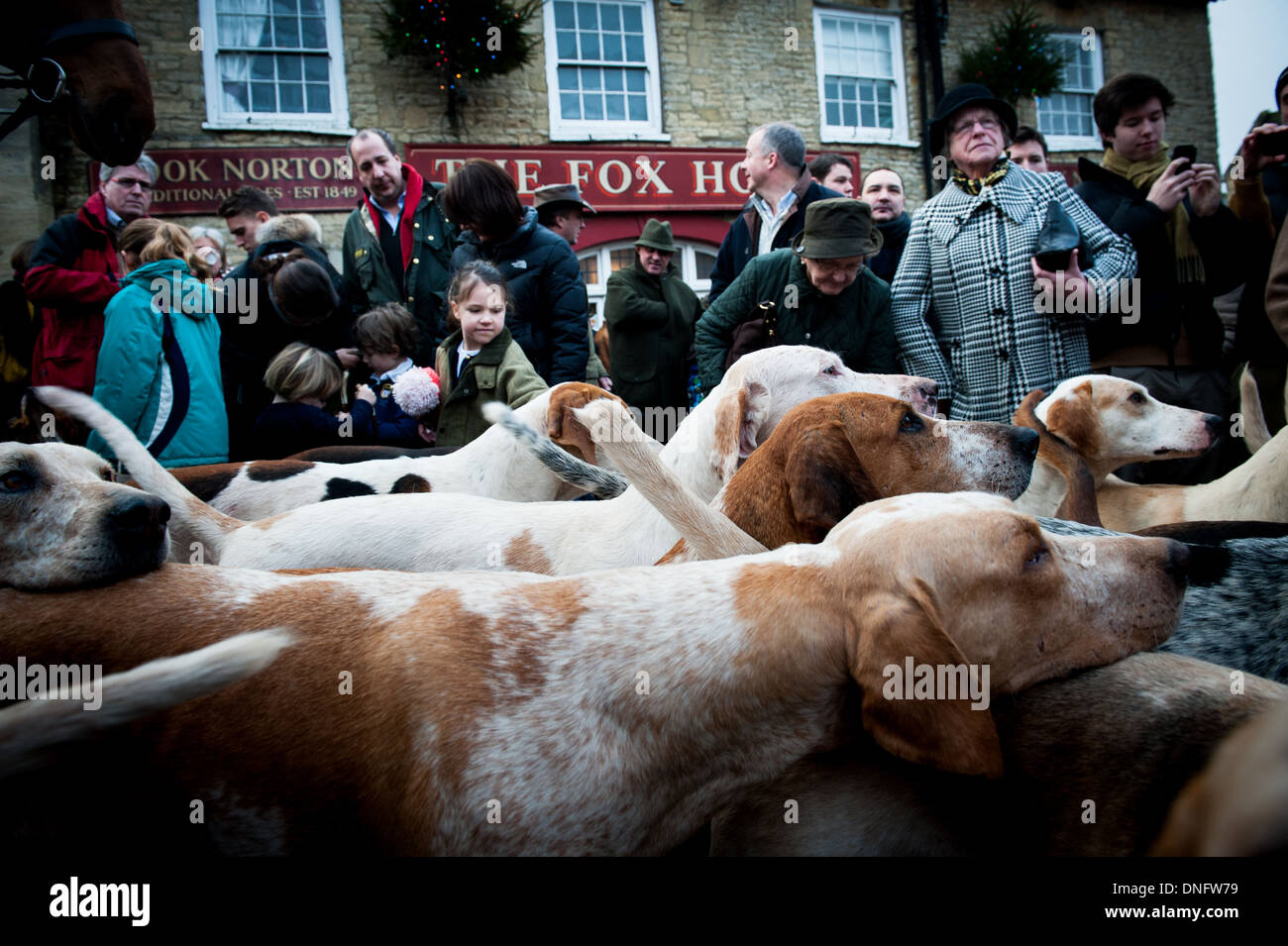 English foxhounds hi-res stock photography and images - Alamy