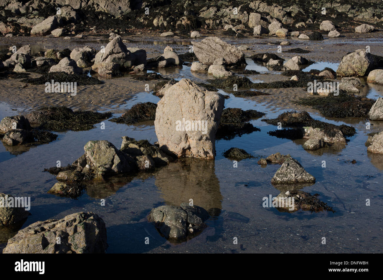 Inter tidal zone hi-res stock photography and images - Alamy