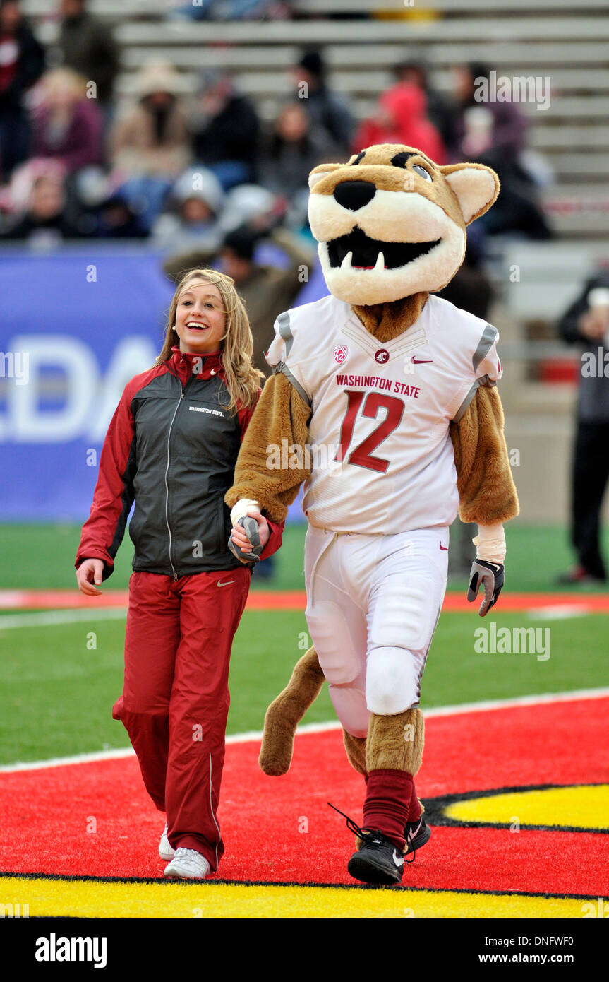Ncaa Team Mascots Ranking The Mascots Of The NCAAW — Cute, Weird And