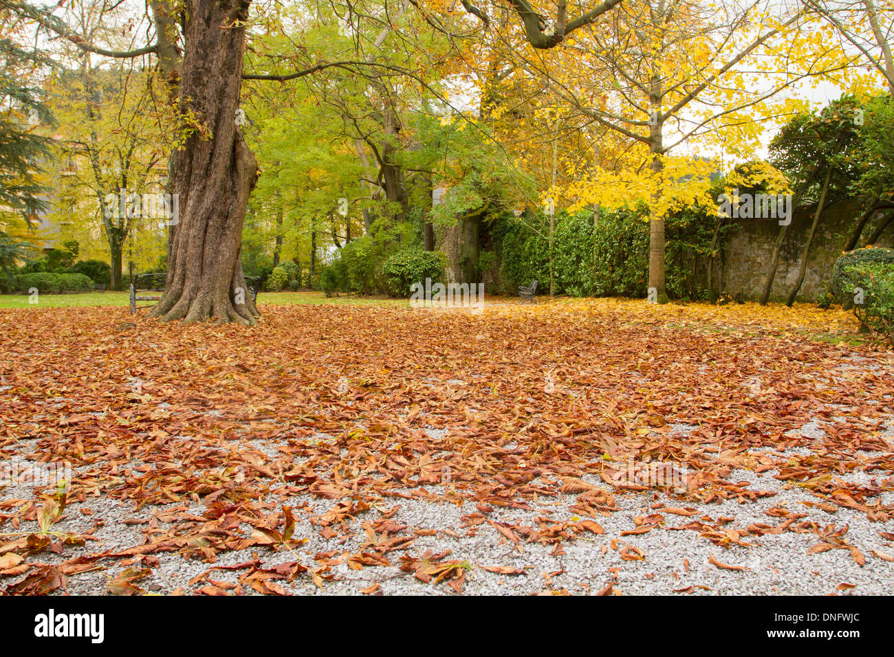 Autumn in the gardens of Lazarraga Palace, Oñati, Basque Country Stock ...