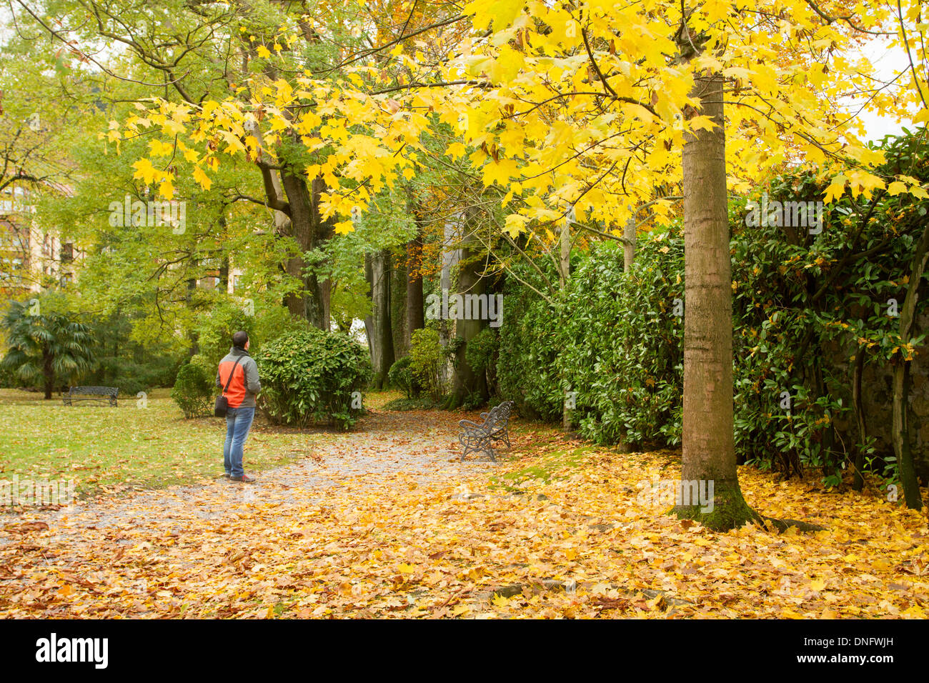 Autumn in the gardens of Lazarraga Palace, Oñati, Basque Country Stock ...