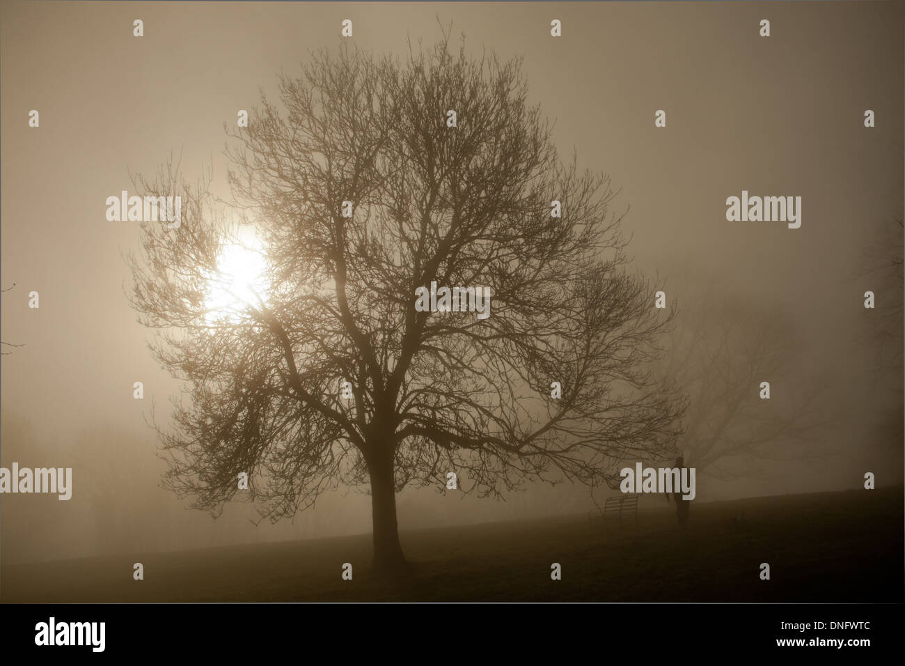 Sunlight through mist hi-res stock photography and images - Alamy