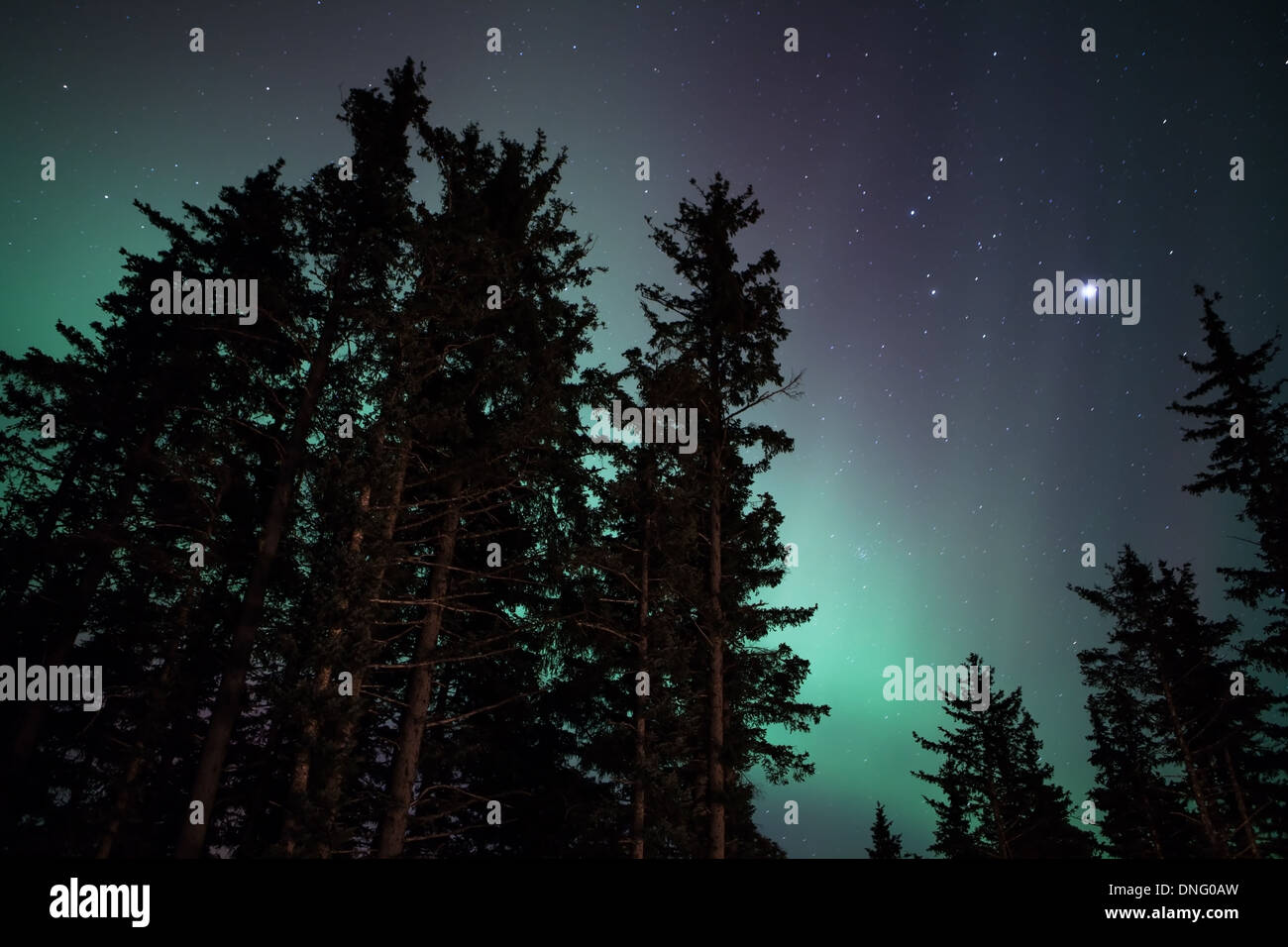 Alaskan night sky hi-res stock photography and images - Alamy
