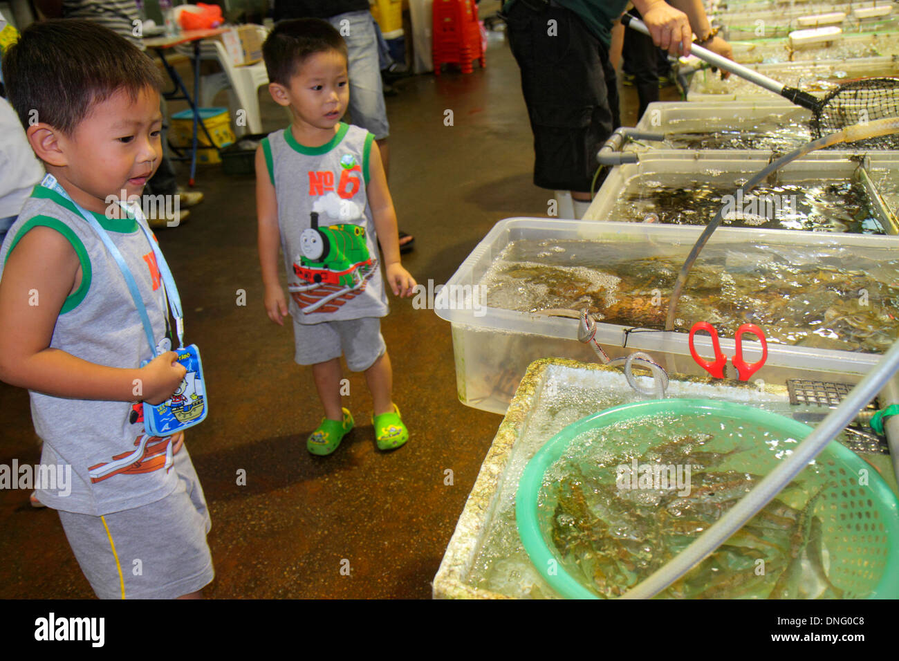 Hong Kong China,HK,Asia,Chinese,Oriental,Island,North Point,Java Road ...