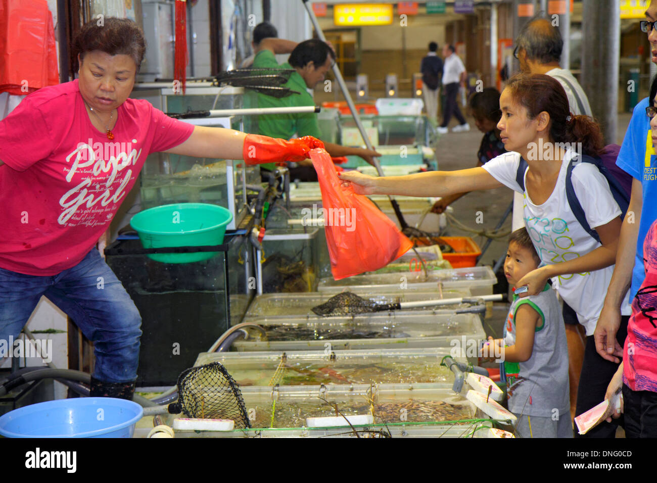 Hong Kong China,HK,Asia,Chinese,Oriental,Island,North Point,Java Road ...