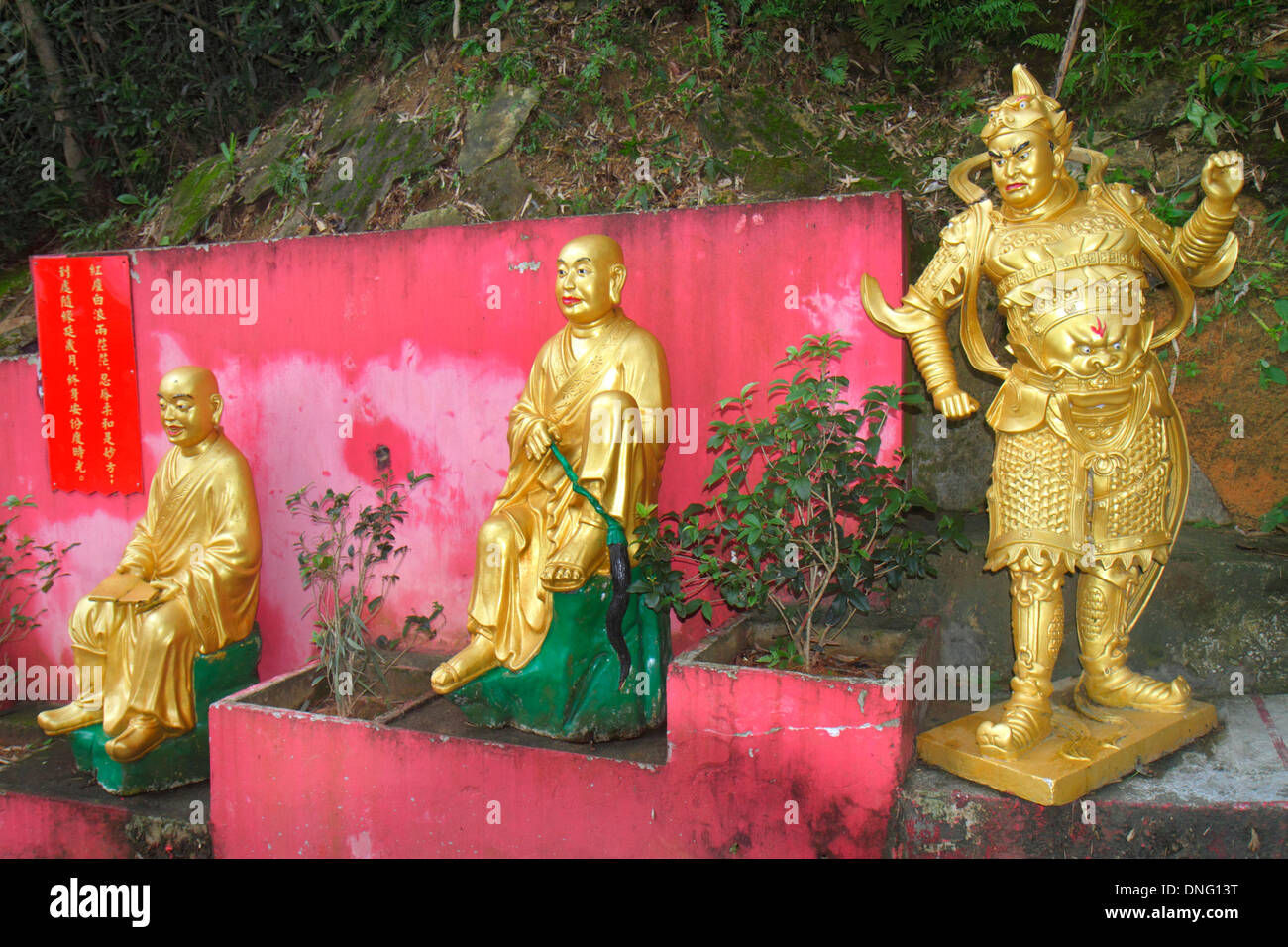 Hong Kong China,HK,Asia,Chinese,Oriental,New Territories,Sha Tin,Ten ...