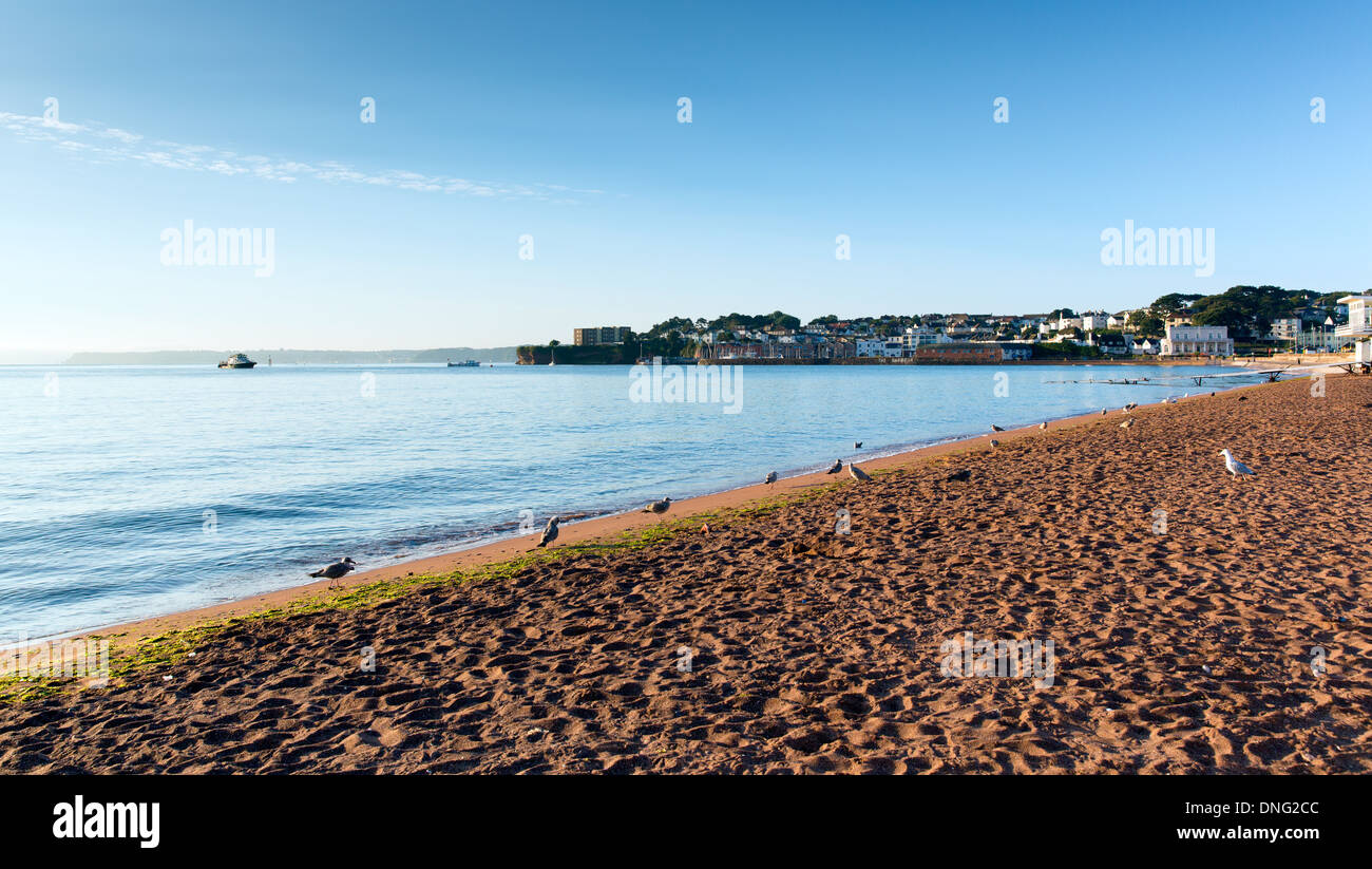 Torquay torbay devon hi-res stock photography and images - Alamy
