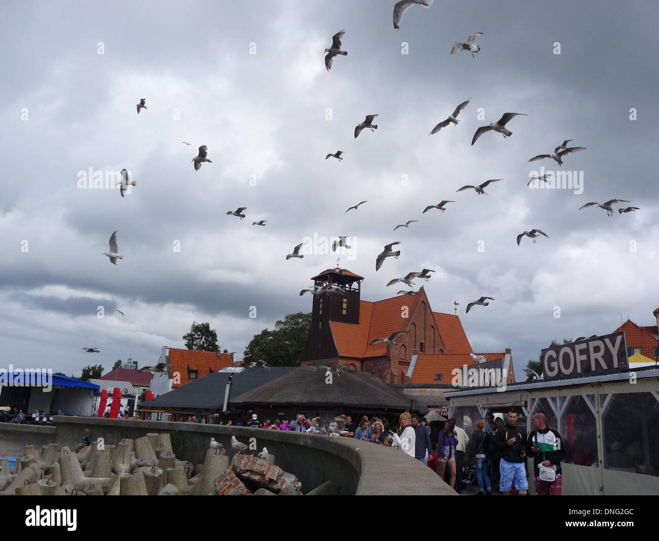 Flying sea gulls in the fishing village Hel at penisula Hel in Poland ...