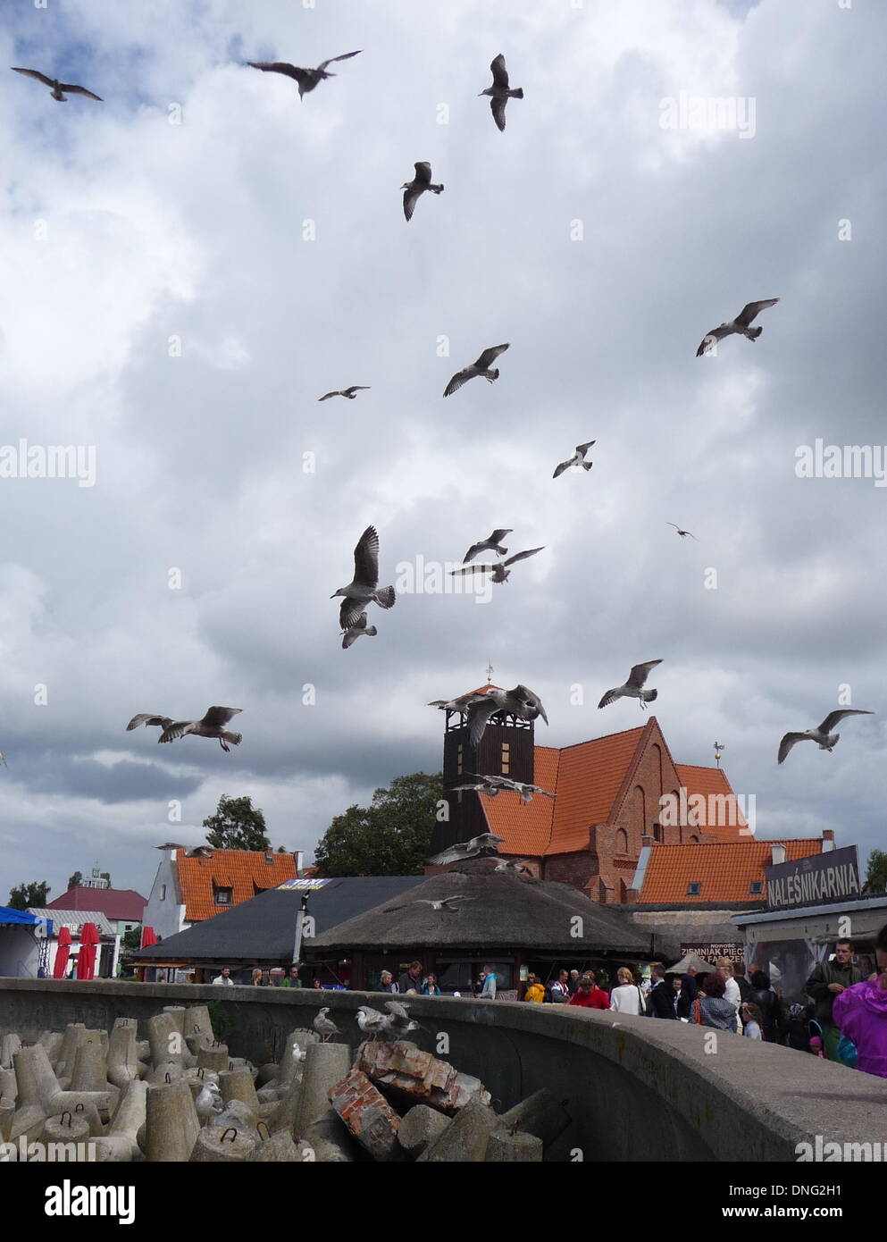 Flying sea gulls in the fishing village Hel at penisula Hel in Poland ...