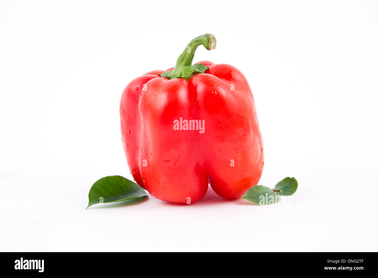 Fresh red paprika, isolated Stock Photo - Alamy
