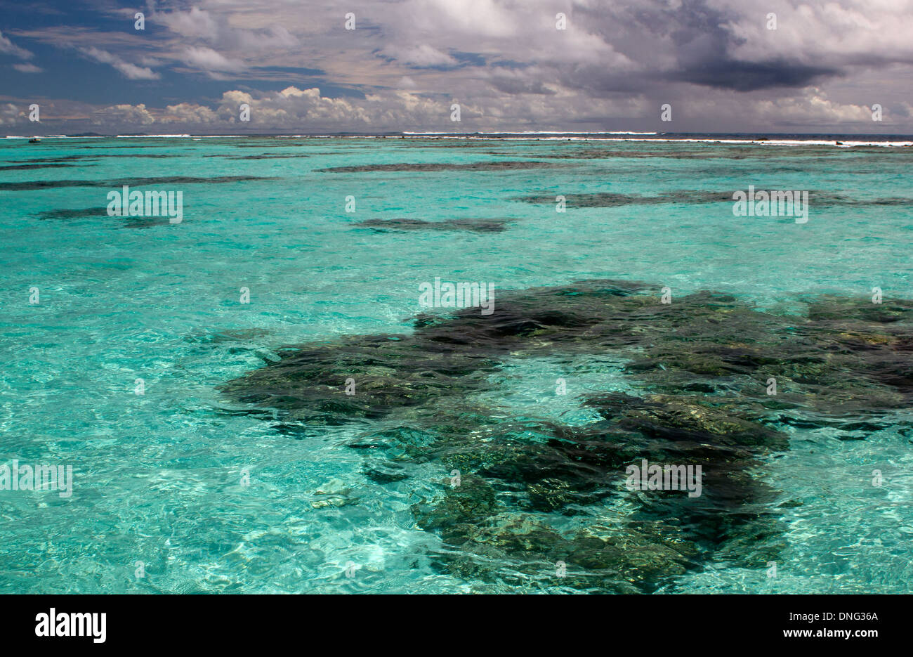Turquoise Caribbean Ocean View in the Tobago Cays Marine Park, Saint ...