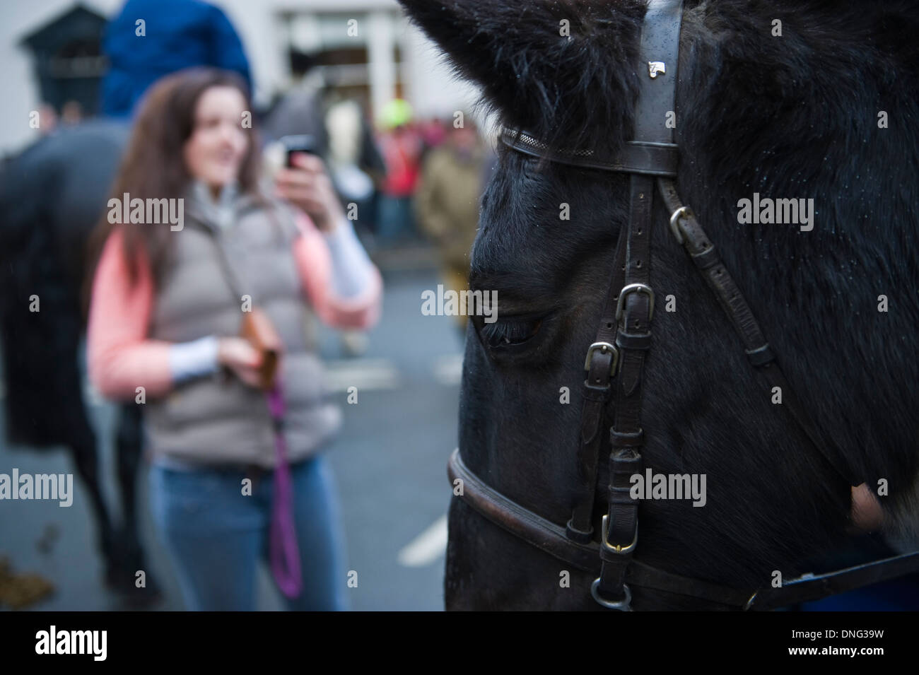 Golden valley boxing day hunt hi-res stock photography and images - Alamy