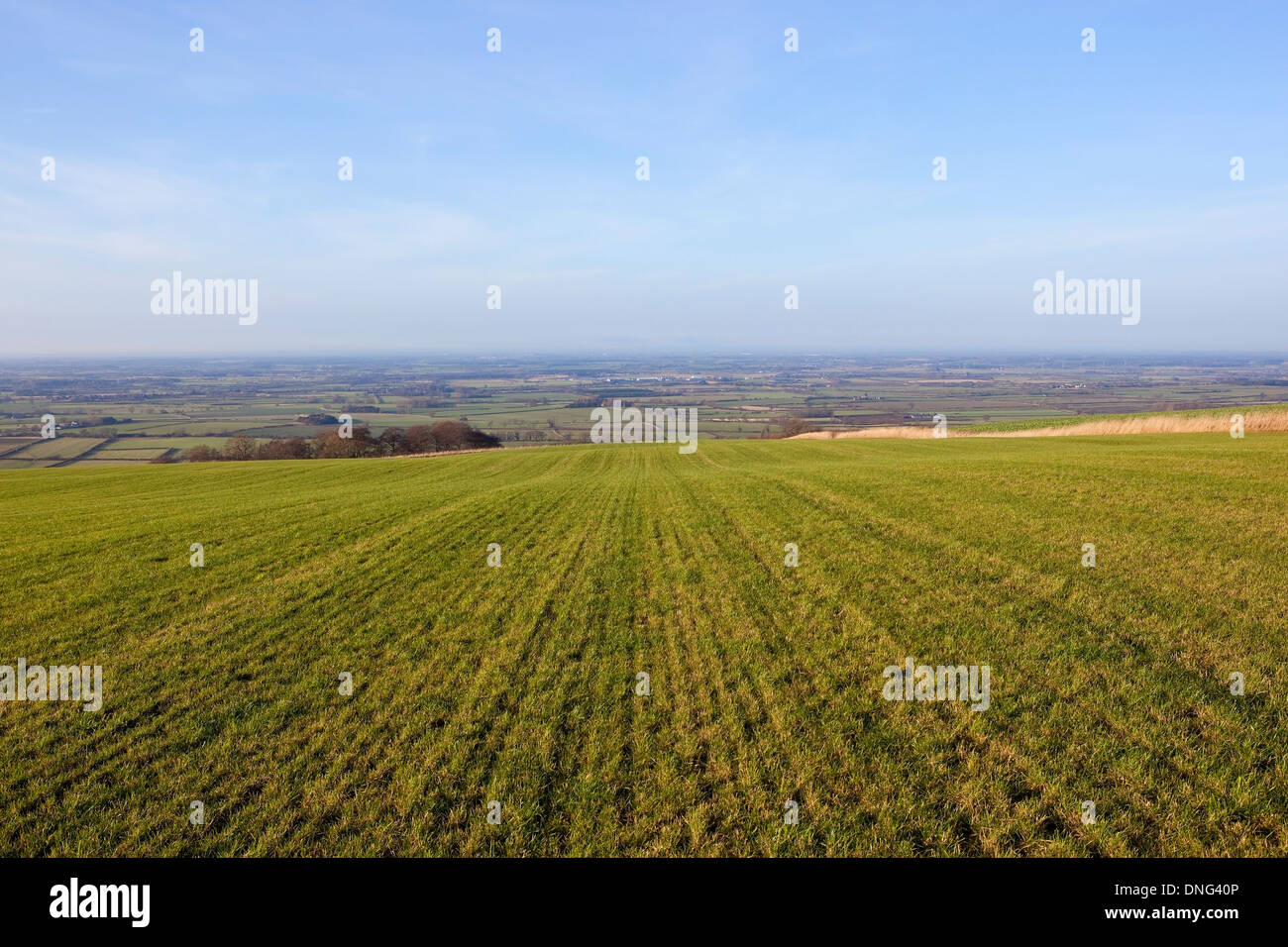 English winter landscape with the vale of York viewed from a grassy ...