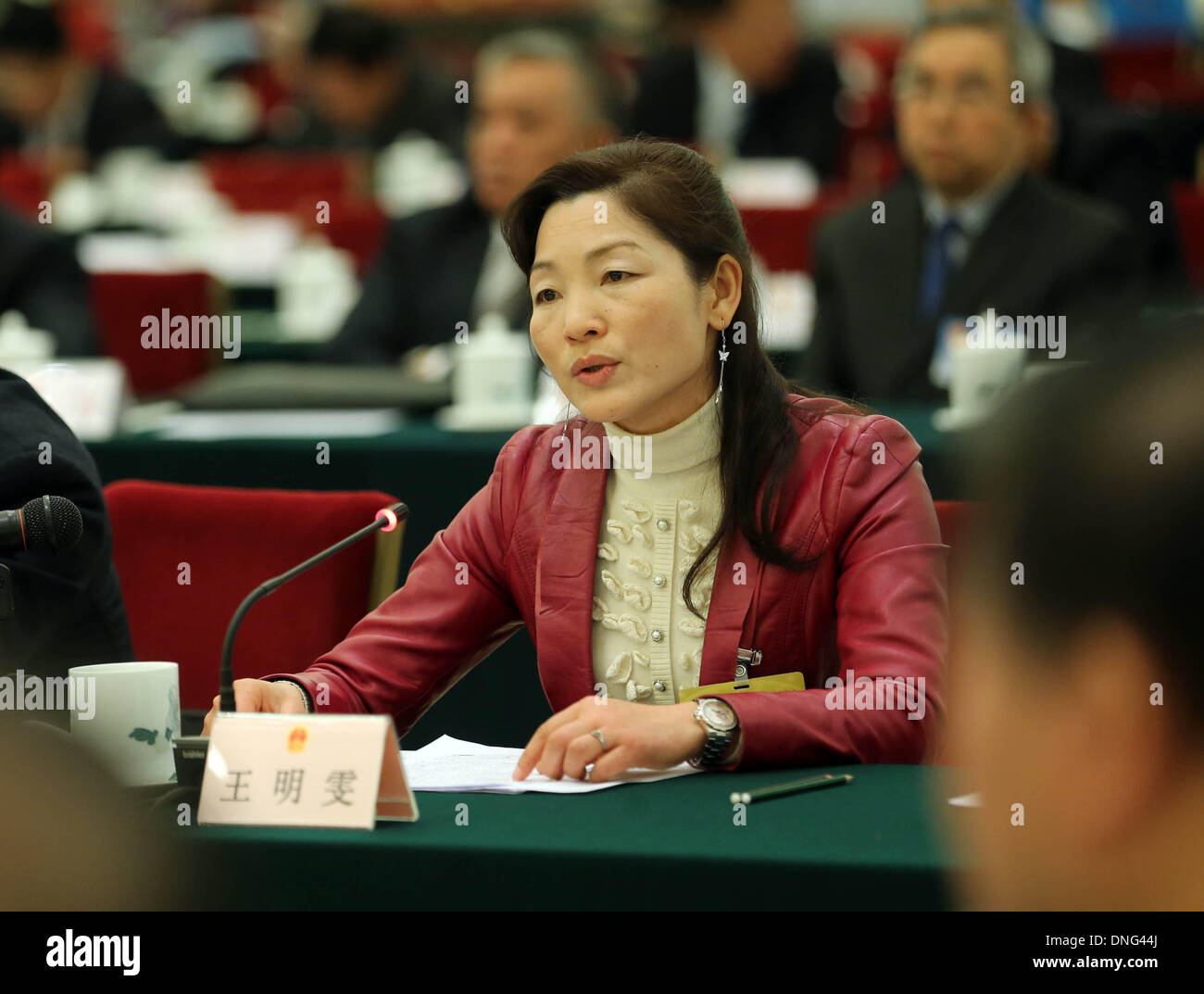 Beijing, China. 27th Dec, 2013. Wang Mingwen, a member of the Standing ...