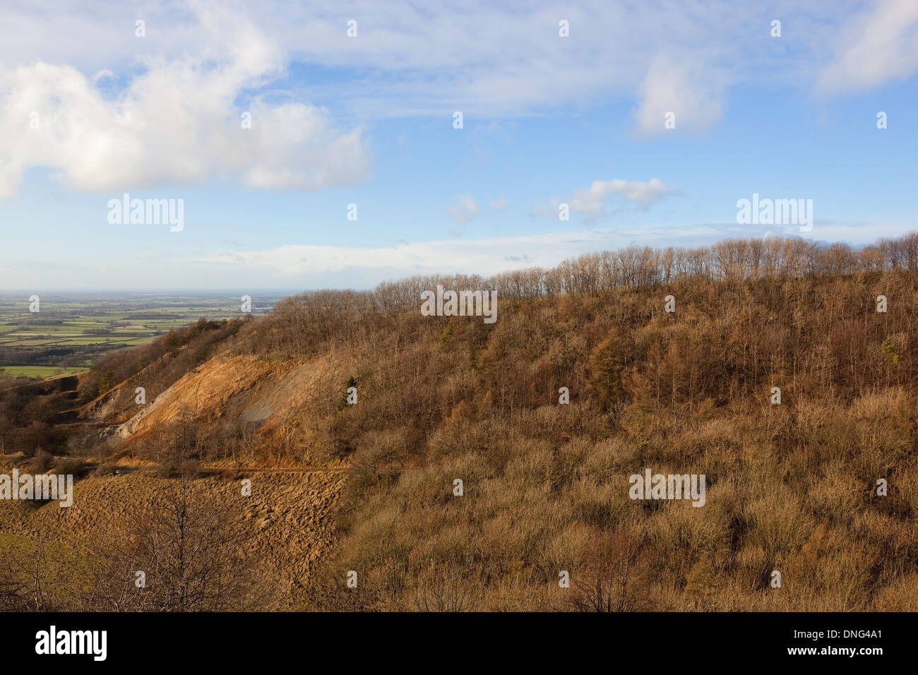 A view from above the scenic wooded valley of Worsendale in the ...