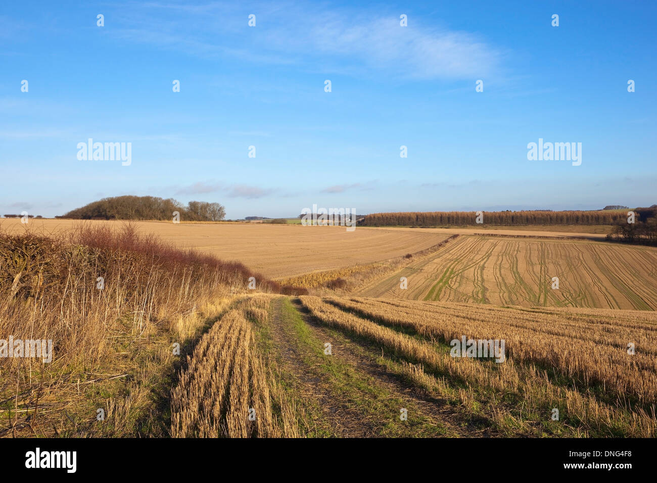 English landscape with patterns and textures of stubble fields and ...