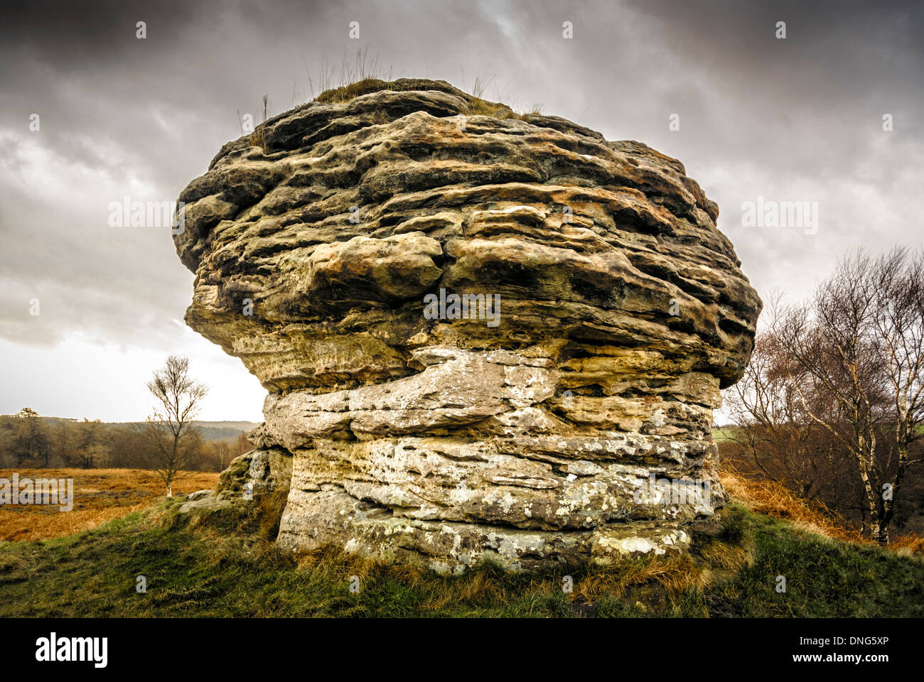 Bridestones, Dalby Forest, North Yorkshire, UK Stock Photo - Alamy