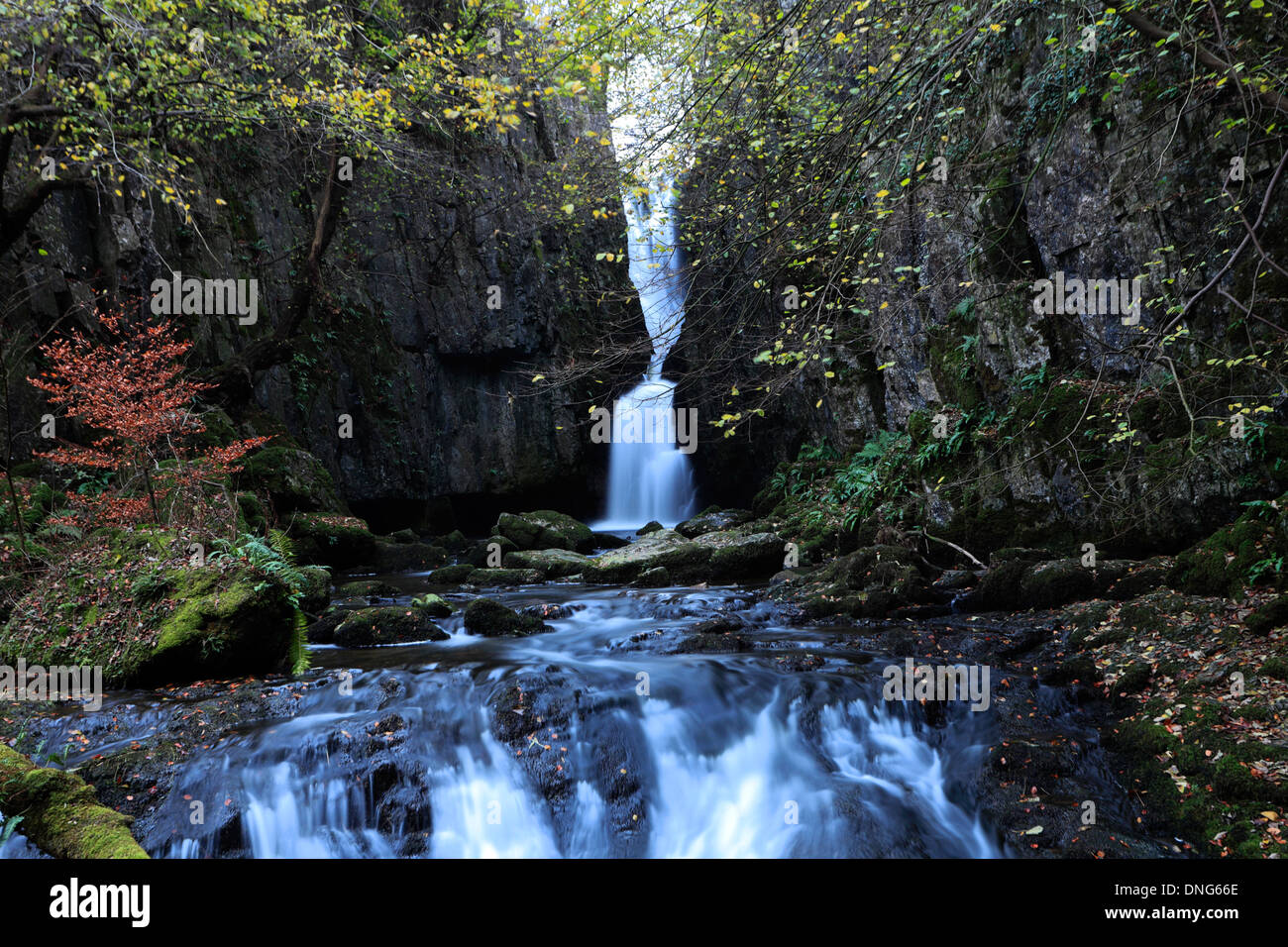 Autumn Catrigg Force waterfall, Stainforth village, River Ribble ...
